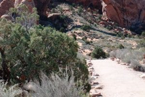 Landscape Arch Trail: What You Need To Know | Adventures In Moab